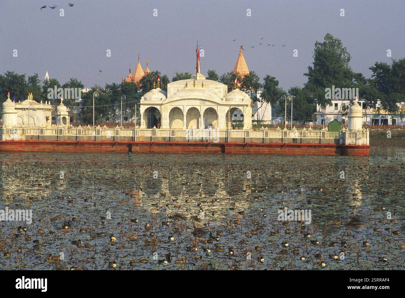 Jalmandir reflection in lotus tank, Pawapuri, Nirvana Place of Lord ...