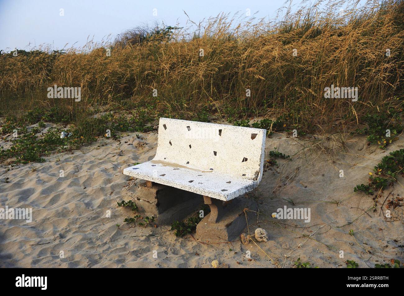Bench at beach Diu UT, India, Asia Stock Photo - Alamy