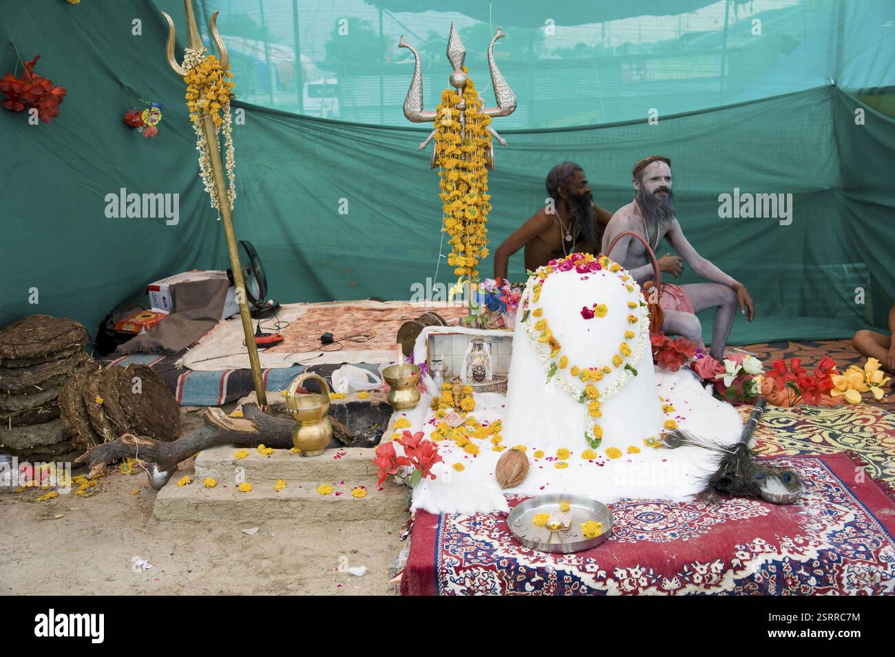 Naga sadhu manoj giri with shivling, kumbh mela, madhya pradesh, india ...