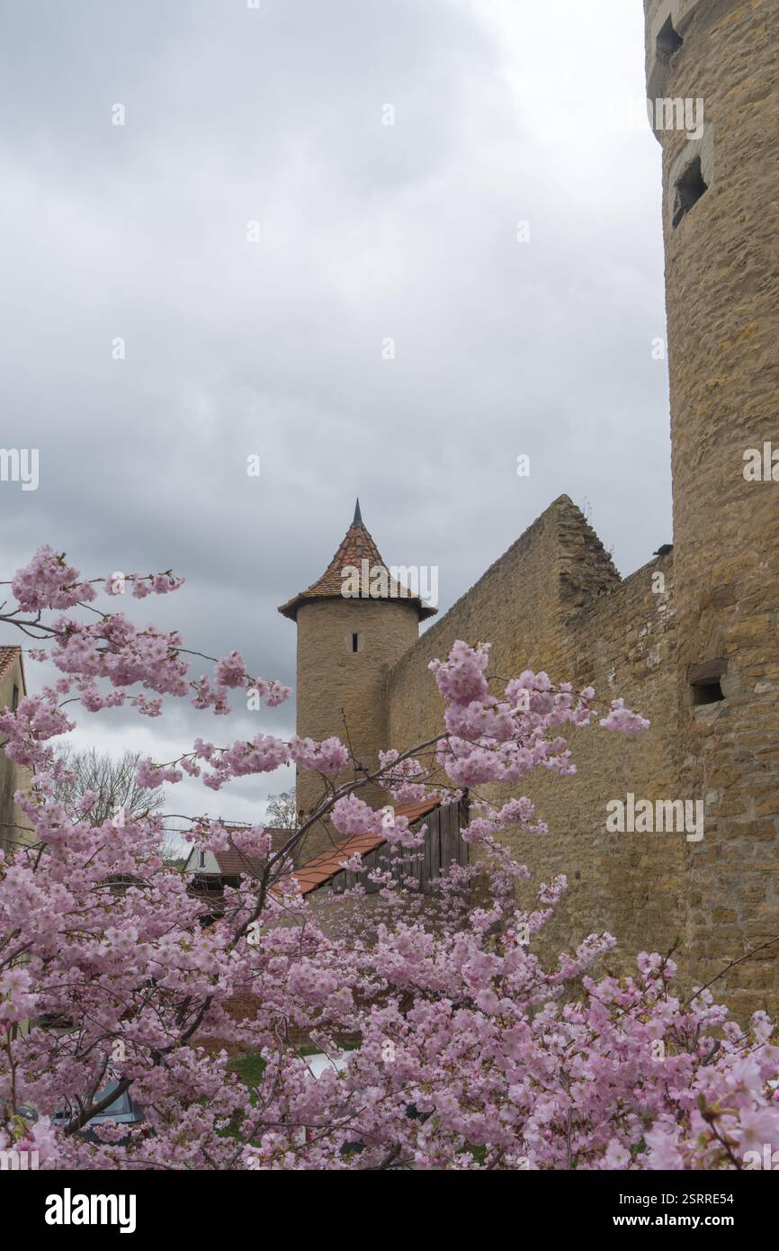 City wall from the german city called Mainbernheim Stock Photo - Alamy