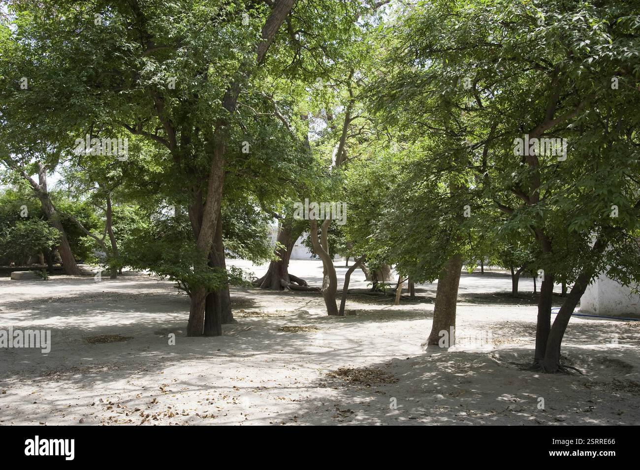 Shree tatiya sthan, mathura, uttar pradesh, india, asia Stock Photo - Alamy