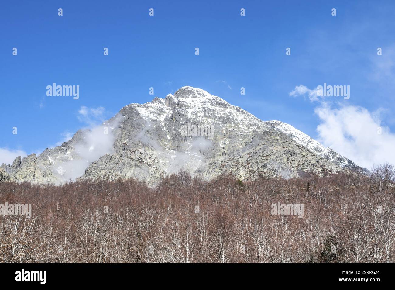The summit of Monte d'Oro (2, 389 m) with light snow cover in the Monte ...