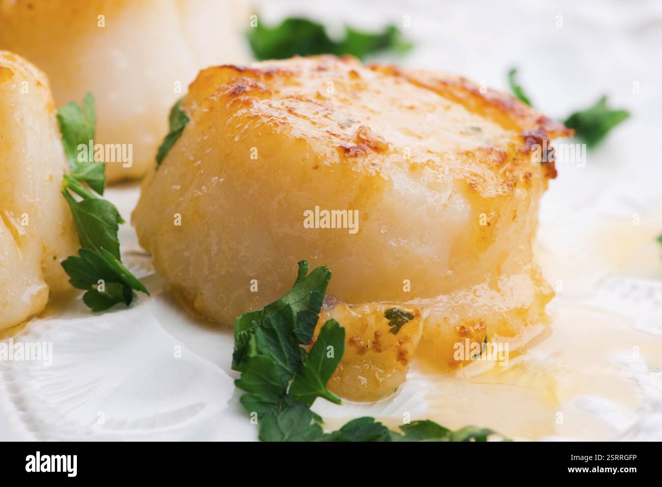 Close up of pan seared sea scallops Stock Photo - Alamy