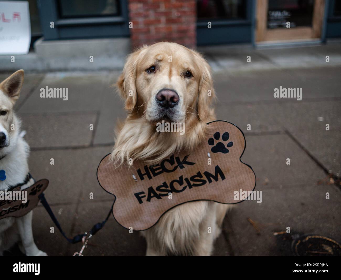 Protesters rally outside the Tesla showroom in downtown Seattle ...