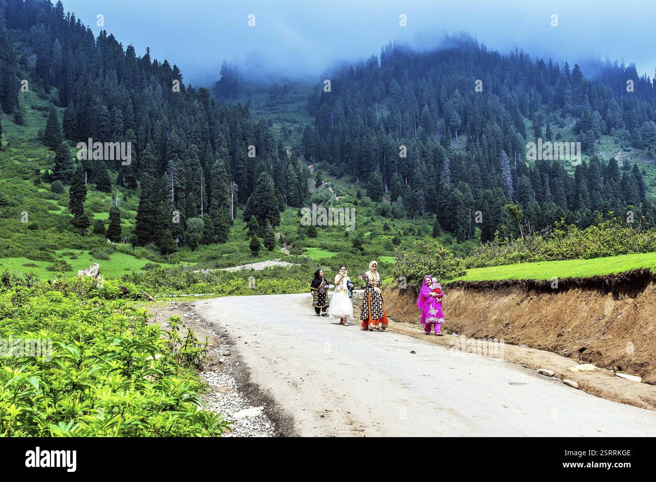 Kashmiri women walking on road, Doodhpathri, Budgam, Kashmir, India ...