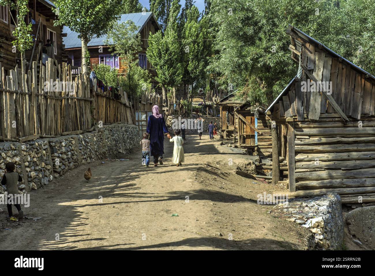 Sheikhpura village path, Tulail valley, Kashmir, India, Asia Stock ...