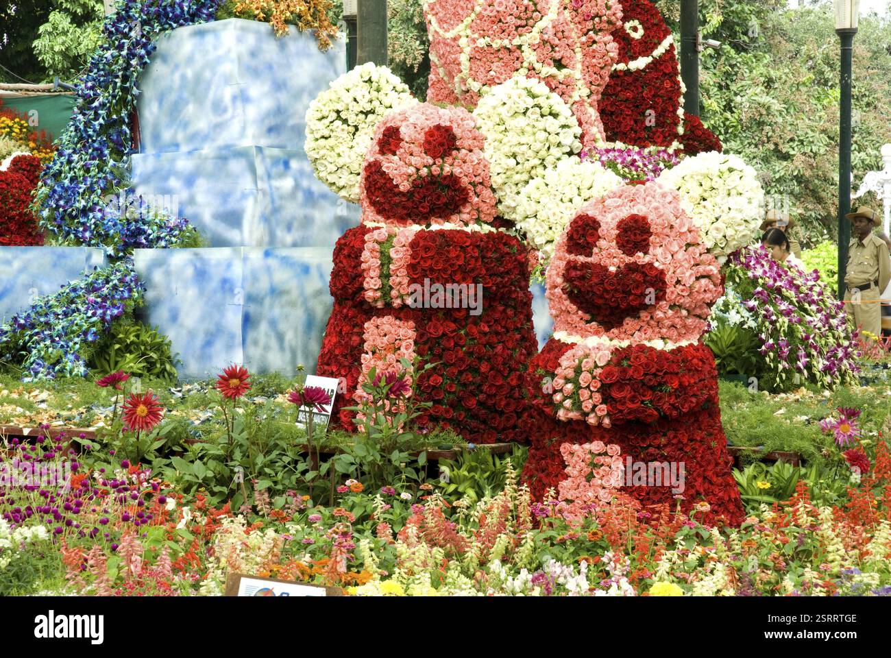 Flower show at Lalbagh, Bangalore, Karnataka, India, Asia Stock Photo ...