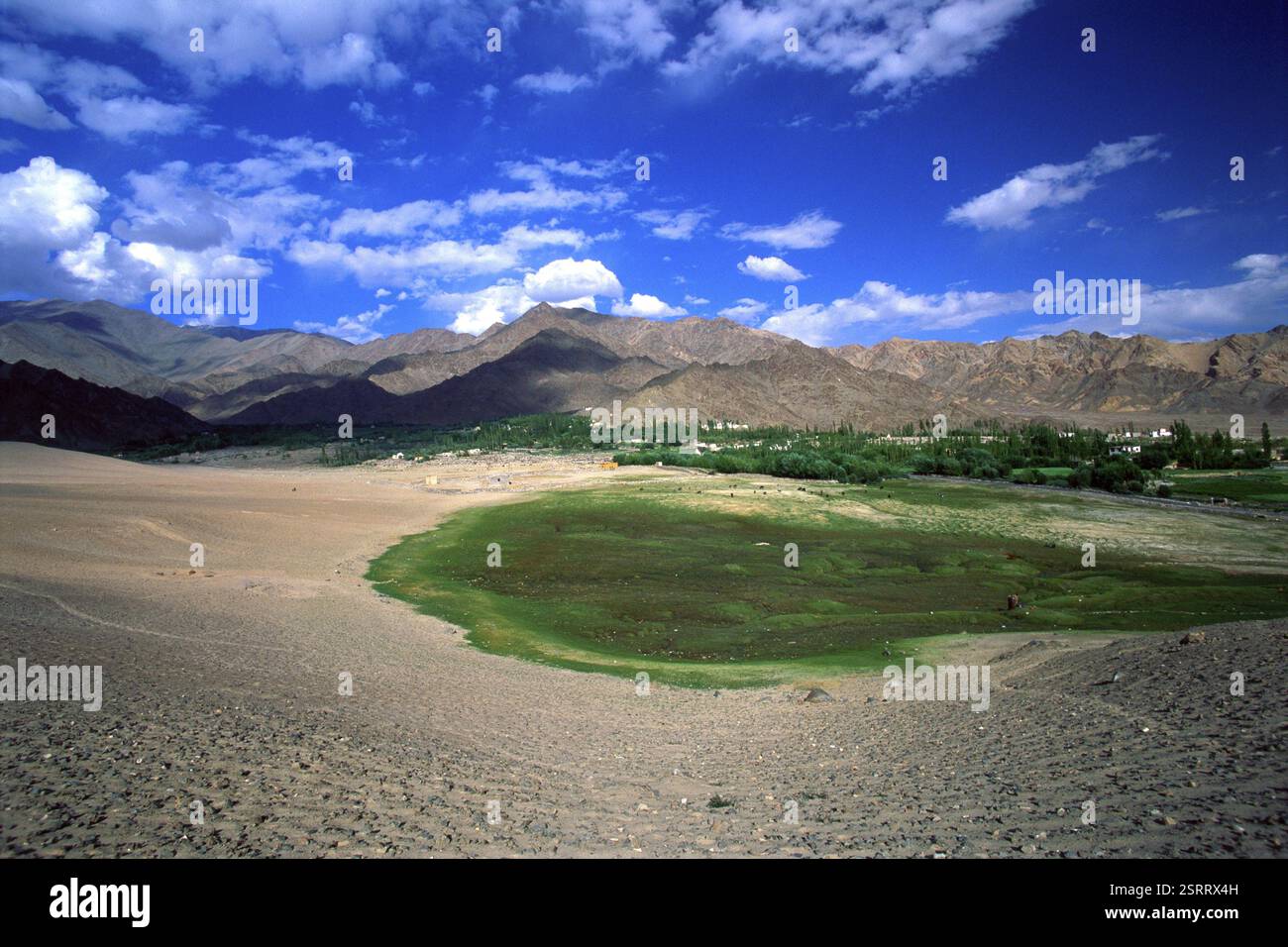 Medicinal spring, Sabu, Leh, Ladakh, Jammu and Kashmir, India, Asia ...