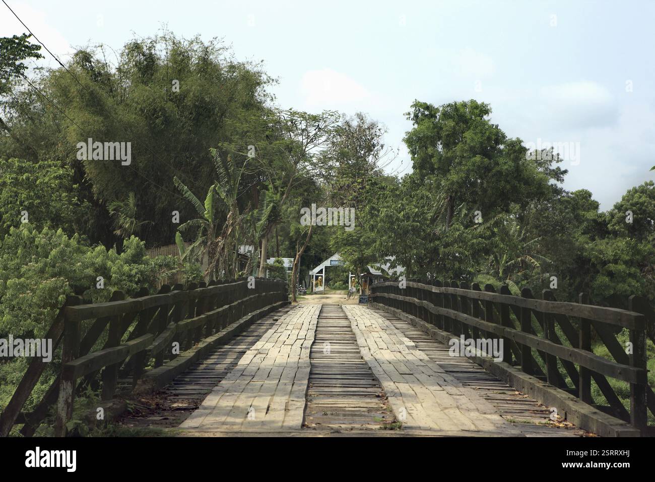 Wooden bridge at kamalabari, Majuli Island, Assam, India, Asia Stock Photo - Alamy