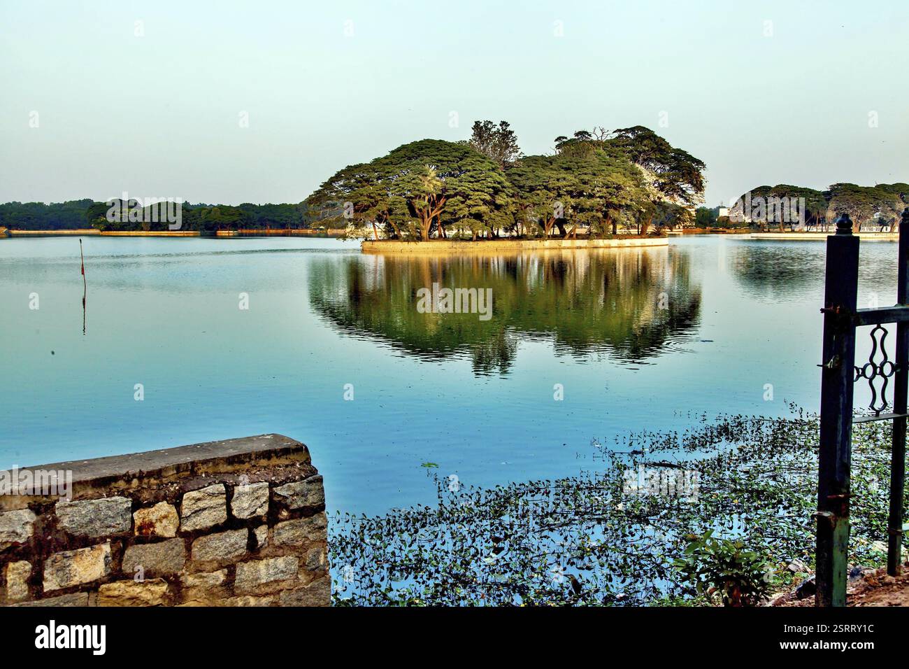 Ulsoor lake, Bangalore, Karnataka, India, Asia Stock Photo - Alamy