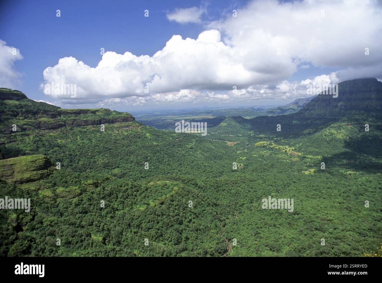Greenery in Verdant hills, Malshej Ghat, Maharashtra, India, Asia Stock ...