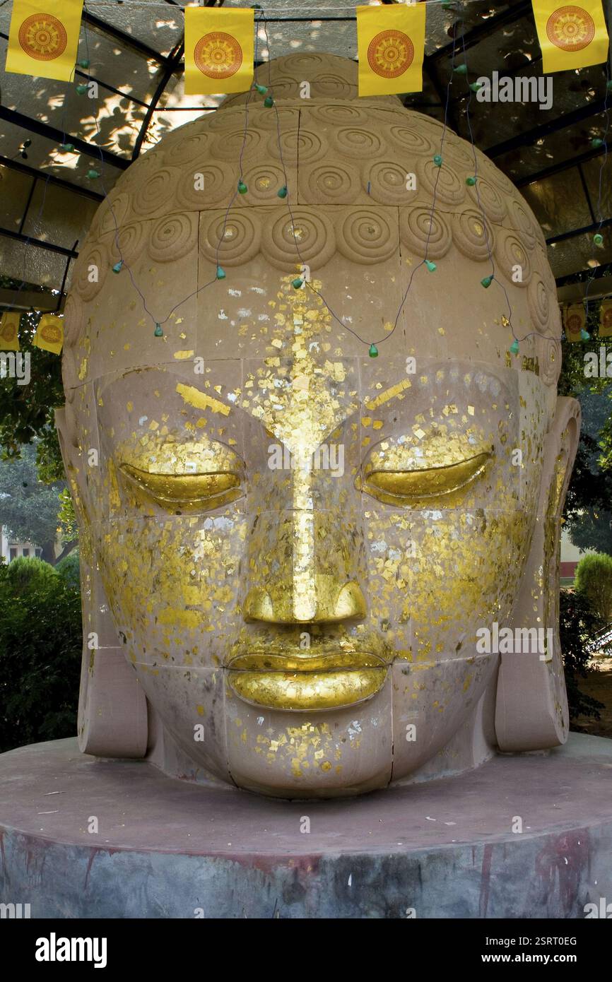 Statue of Buddha in Sarnath, Varanasi, Uttar Pradesh, India, Asia Stock ...