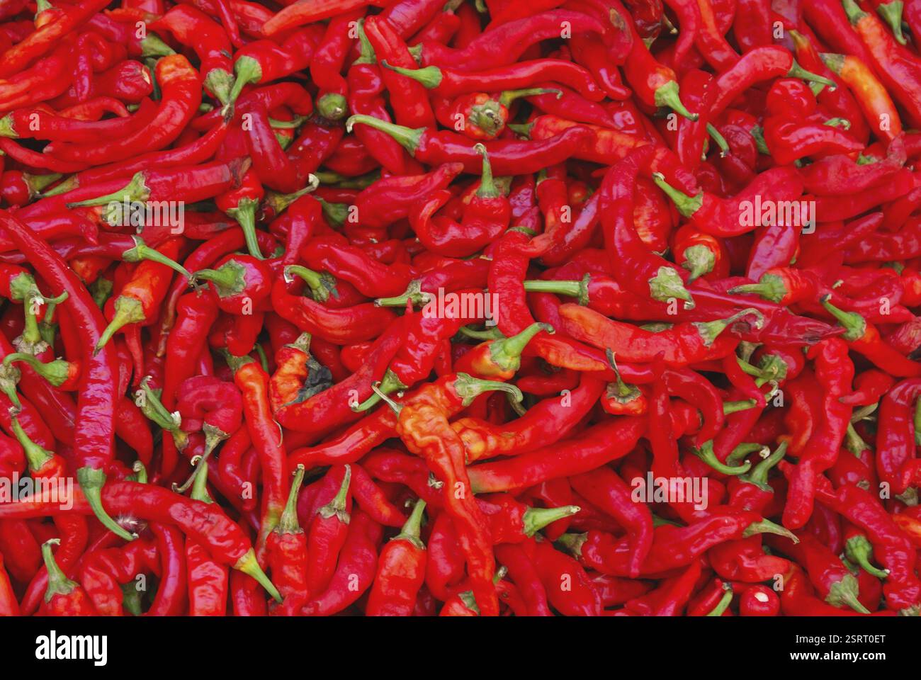 Blue chilli pepper hi-res stock photography and images - Alamy