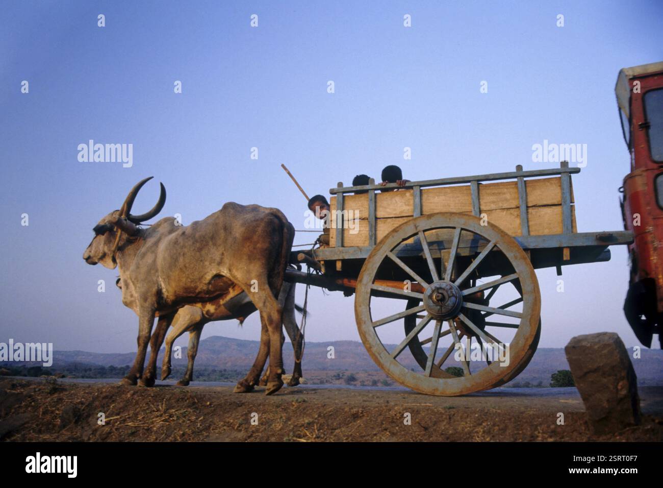 India animal animals bullock carriage hi-res stock photography and ...