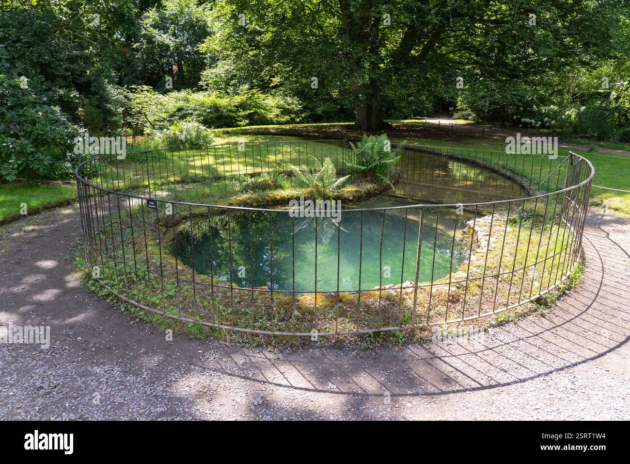 The font (spring of water that collects in a pool from Old French ...