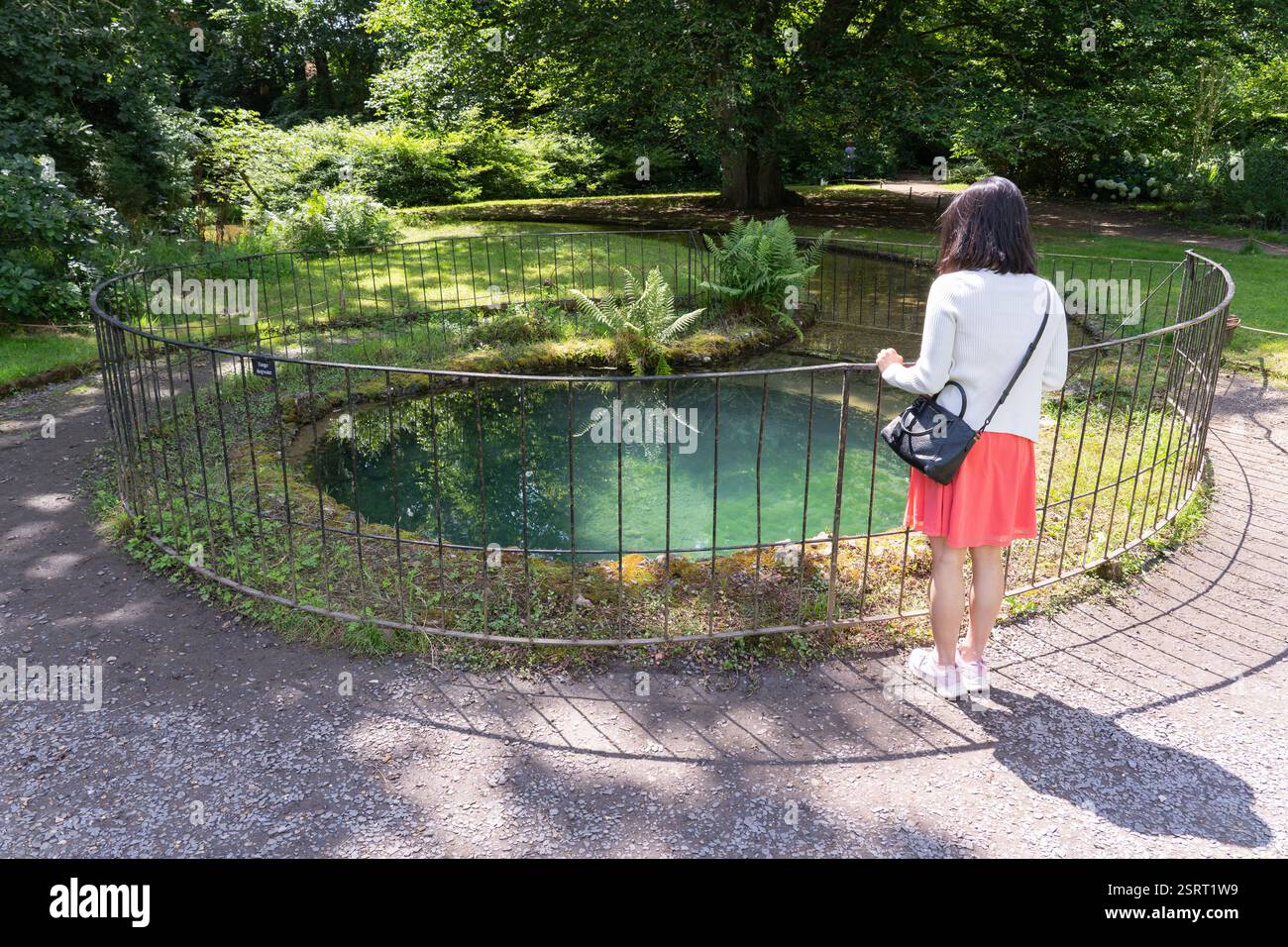 A visitor at the font (spring of water that collects in a pool from Old ...
