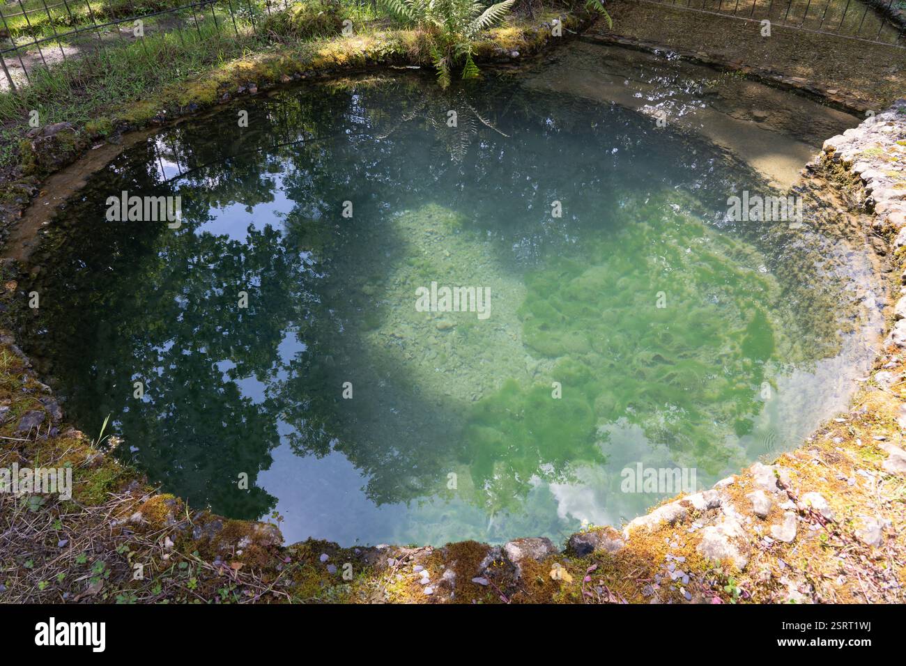 The font (spring of water that collects in a pool from Old French ...