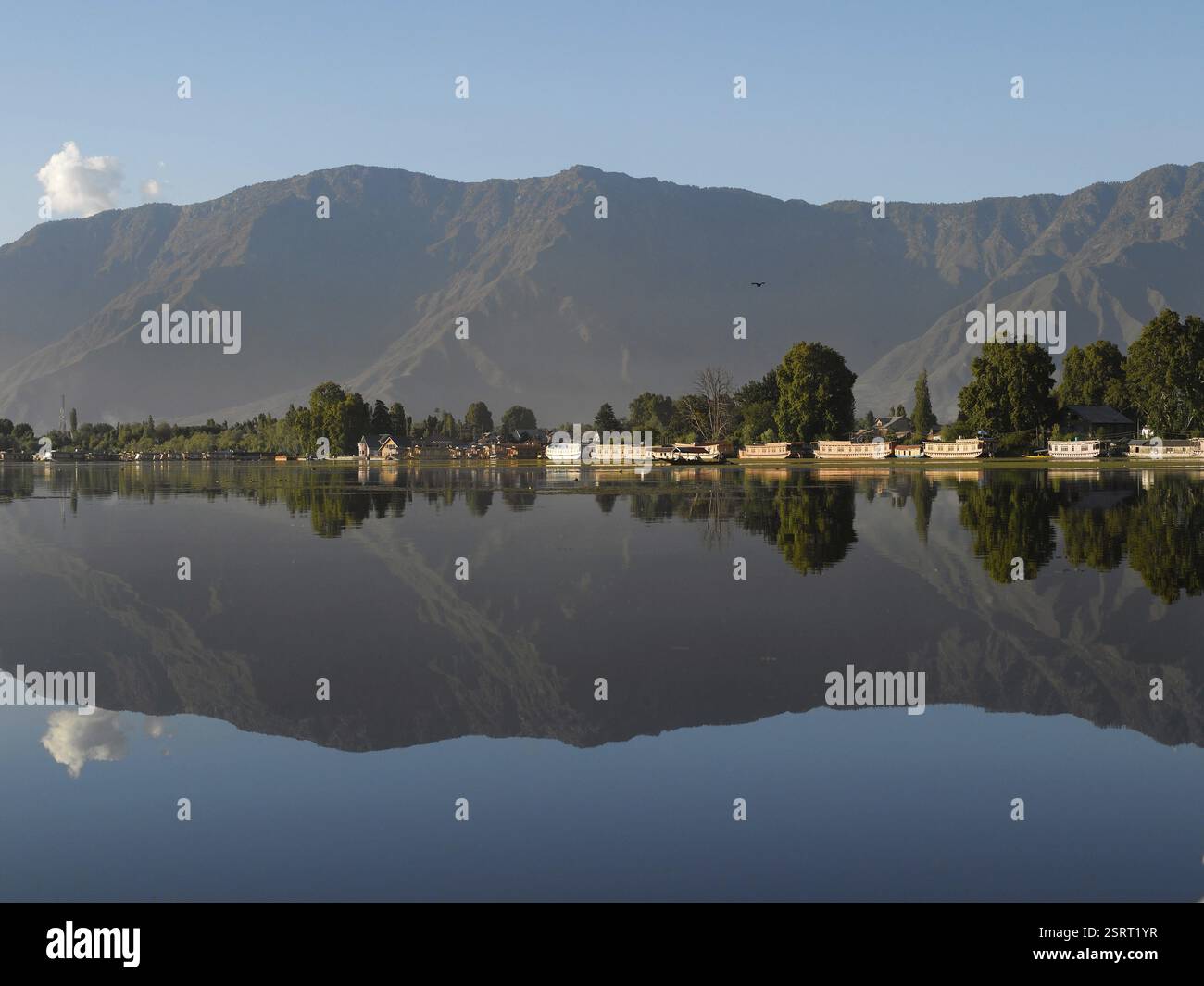 Shikara in nigeen lake, Srinagar, Jammu and Kashmir, India, Asia Stock ...