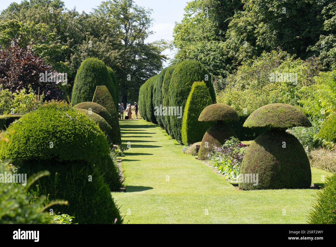 The 'Yew Path' (or 'Long Walk') within the formal gardens created by ...