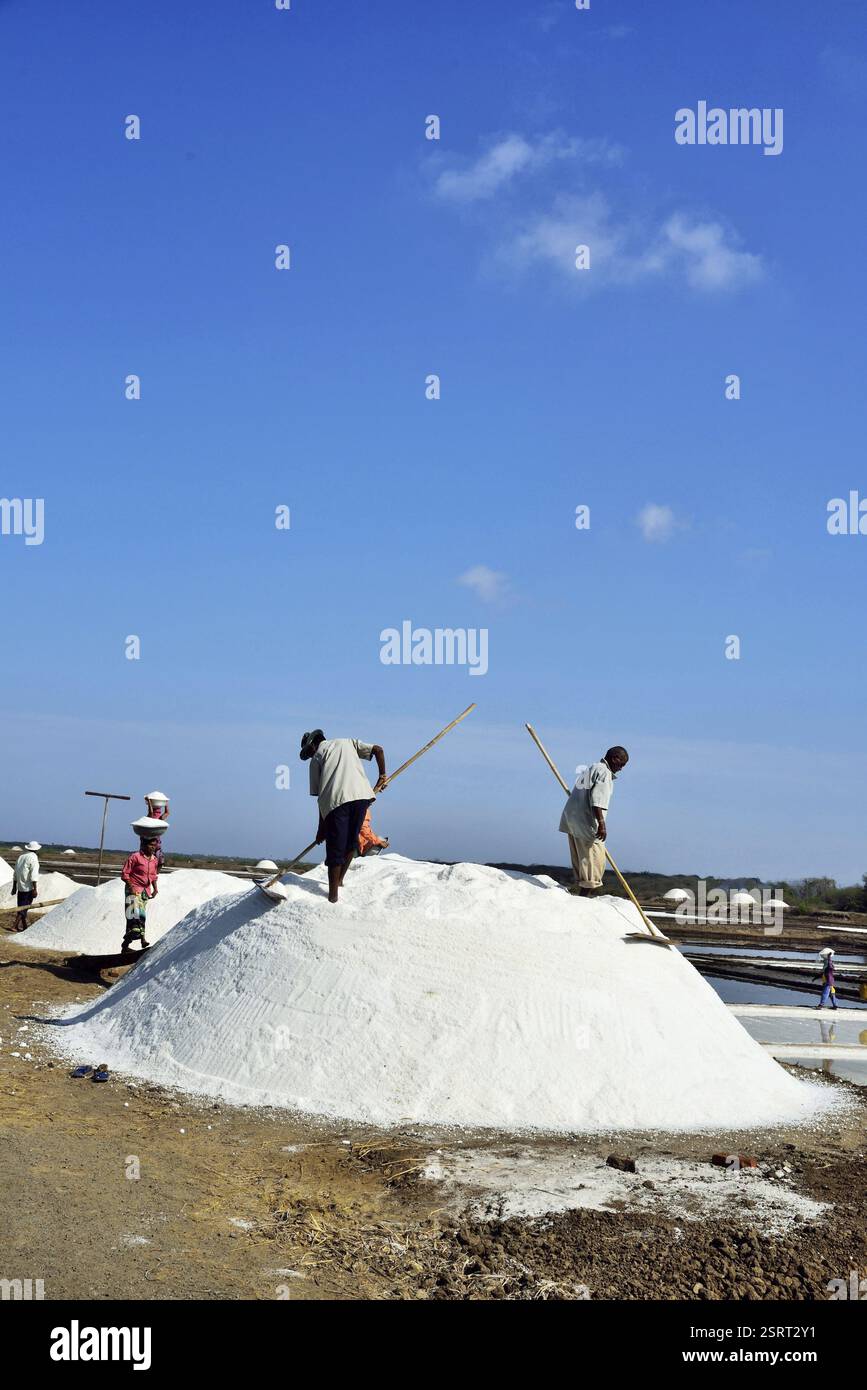 People working at salt pans, Chharwada, Valsad, Gujarat, India, Asia ...