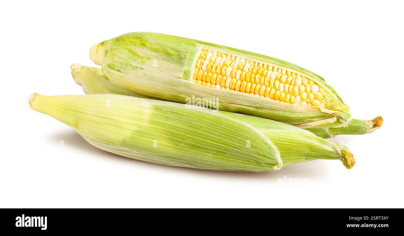 corn path isolated on white Stock Photo - Alamy
