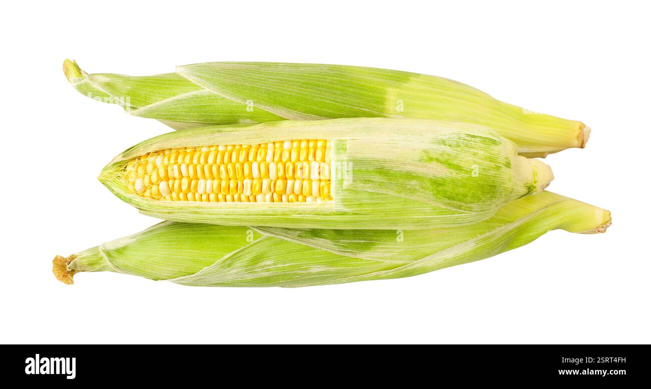corn path isolated on white Stock Photo - Alamy