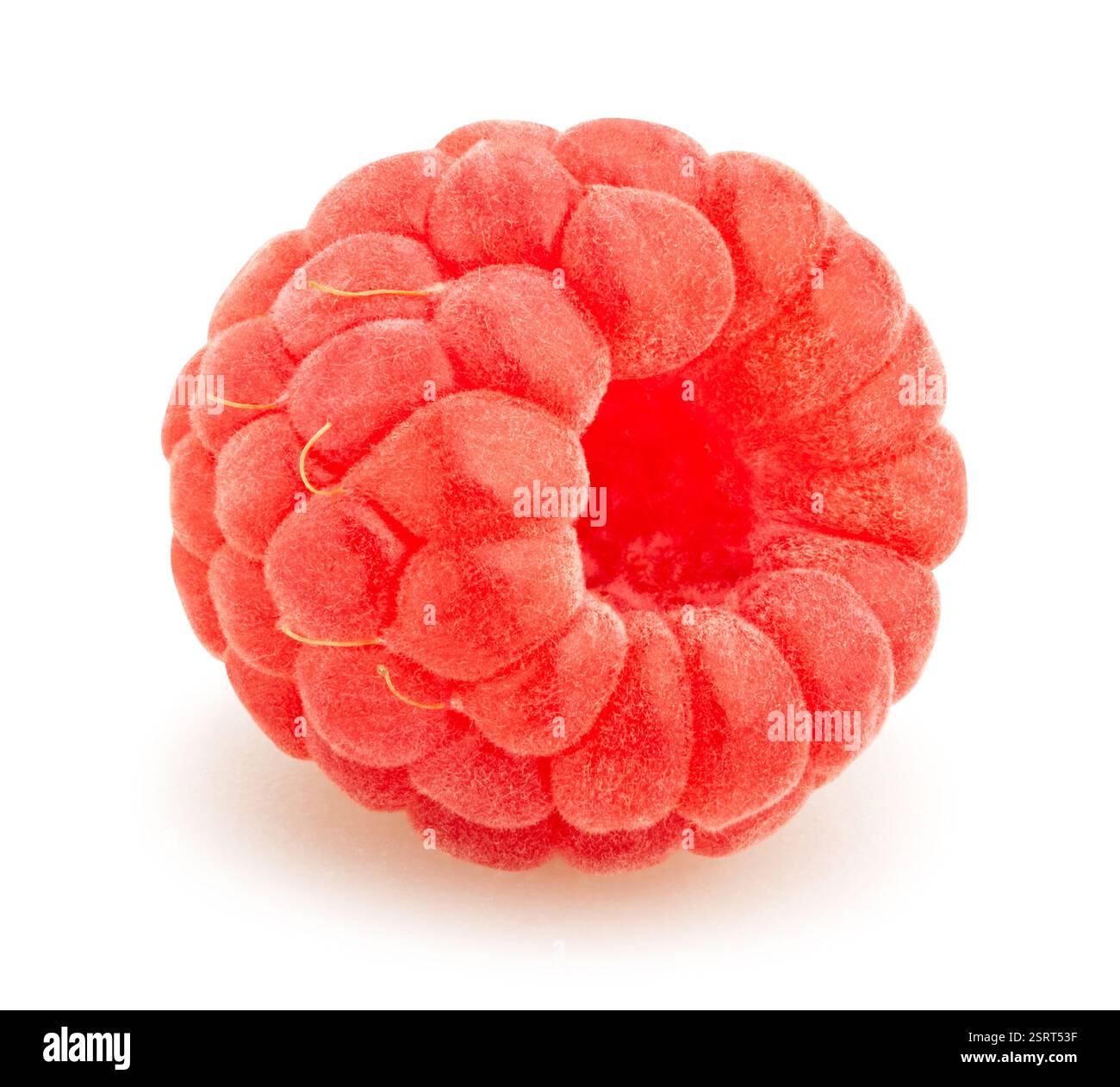 One raspberry cutout hi-res stock photography and images - Alamy