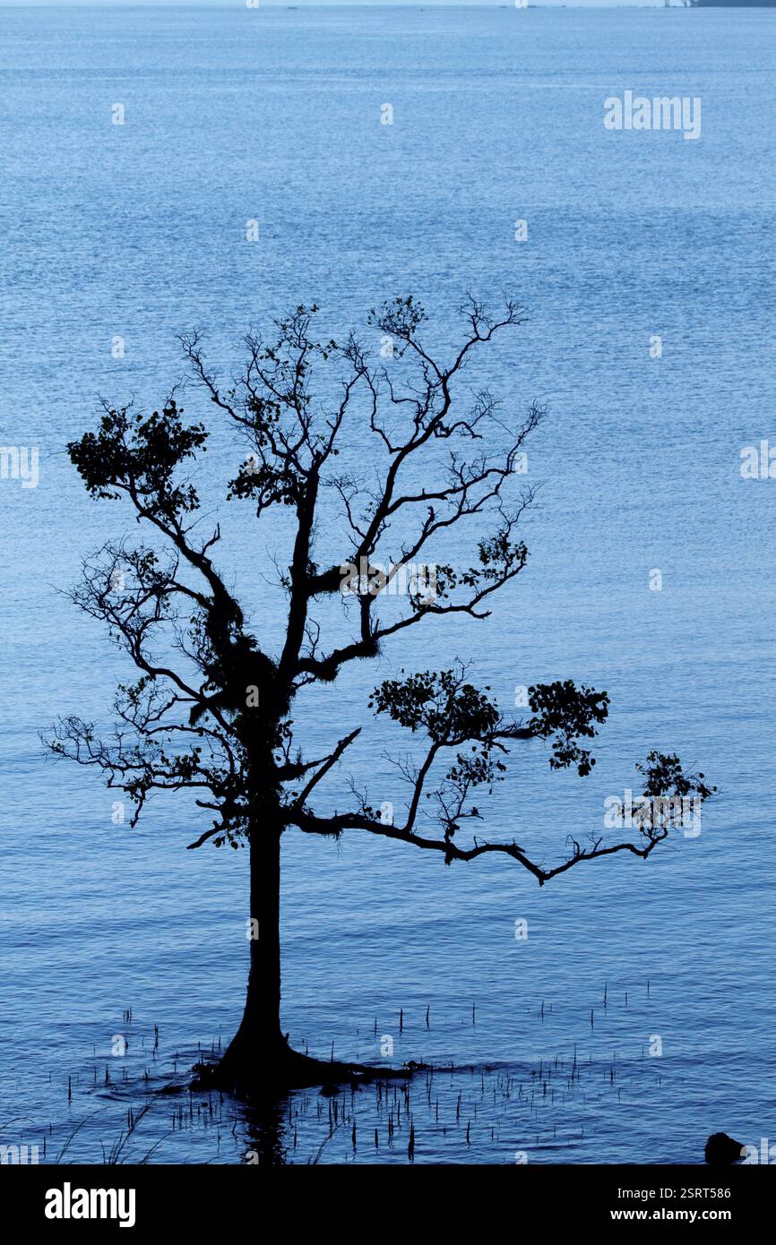 Chidiya tapu near Port blair Andaman island India Asia Stock Photo - Alamy