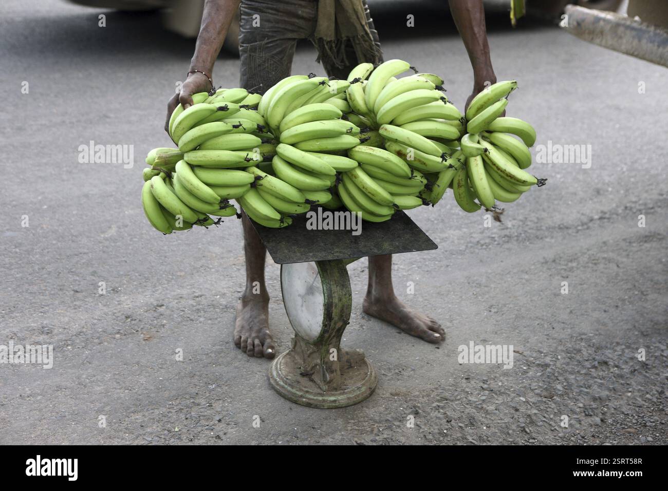 Musa paradisiacal hi-res stock photography and images - Alamy