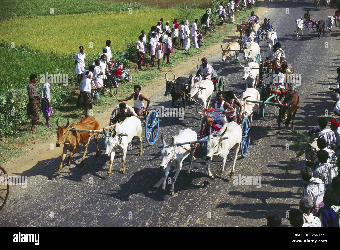 Indian bullock cart hi-res stock photography and images - Alamy