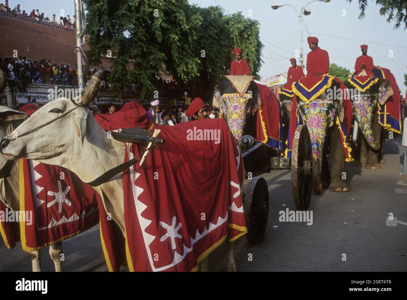 Animals rally in teej festival, jaipur, rajasthan, india Stock Photo ...