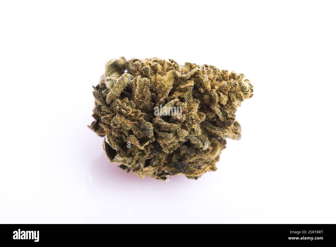 Dry marijuana bud on white background Stock Photo - Alamy