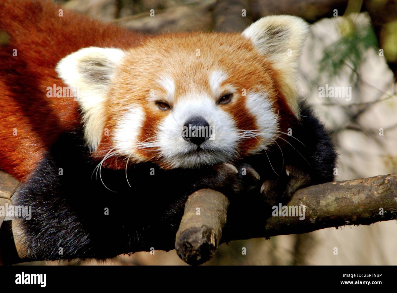 Curious tourist spot hi-res stock photography and images - Alamy