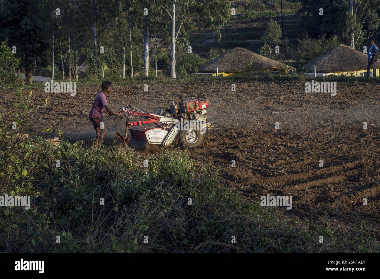 Man ploughing field with tractor, Andhra Pradesh India, Asia Stock ...