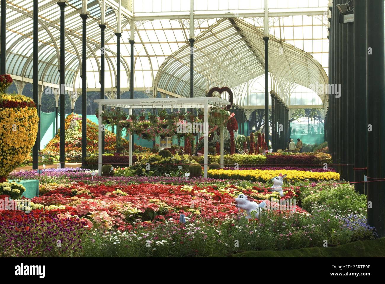Flower show at Lalbagh botanical garden, Bangalore, Karnataka, India ...