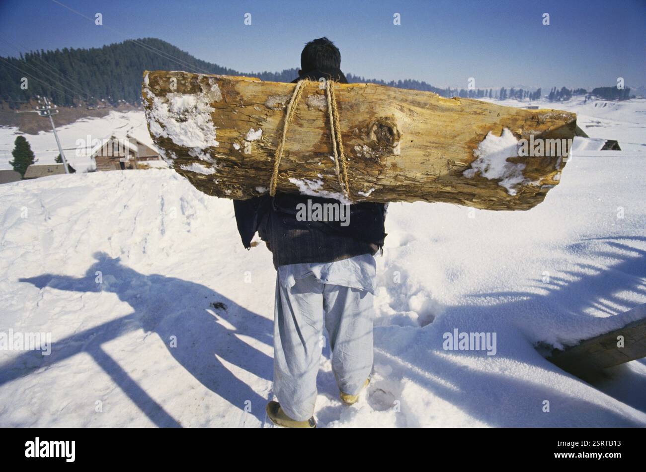 Porter carrying log of wood, Jammu & Kashmir, India, Asia Stock Photo ...