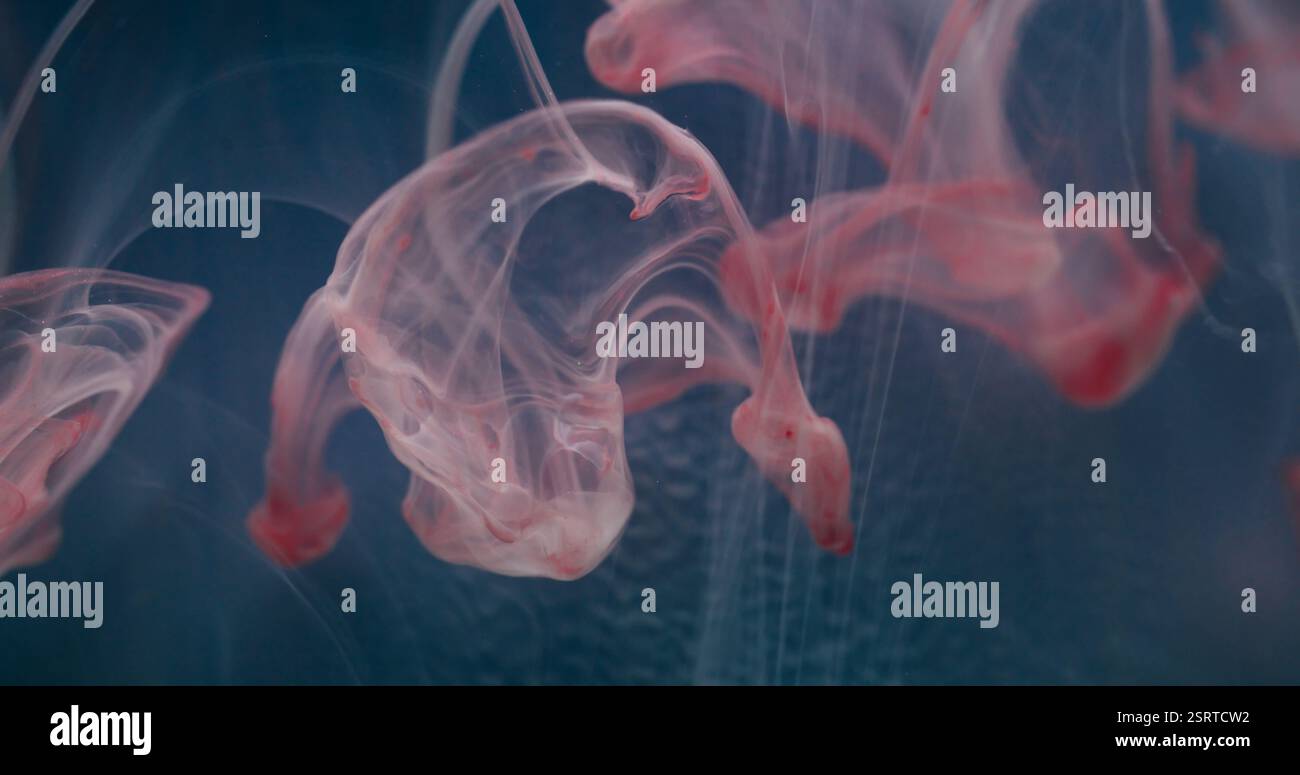 Blur paint fog. Splash liquid abstraction. Defocused pink blue color ...