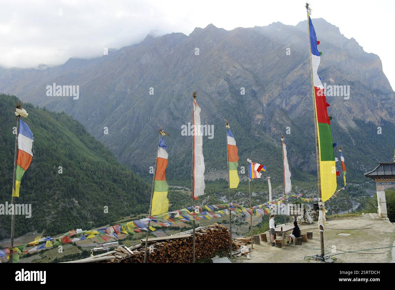 Flag of the holy see hi-res stock photography and images - Alamy