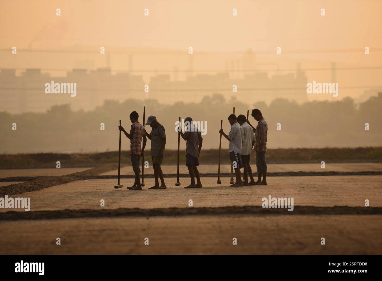 Salt pans in india hi-res stock photography and images - Alamy