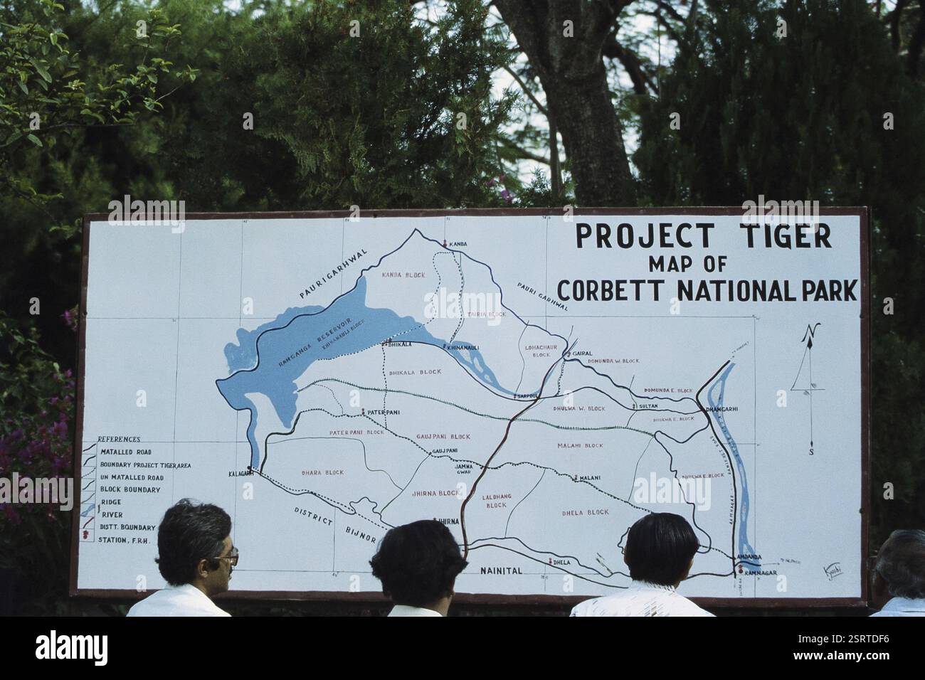 Men looking at map, Corbett National Park, Uttar Pradesh, India, Asia ...
