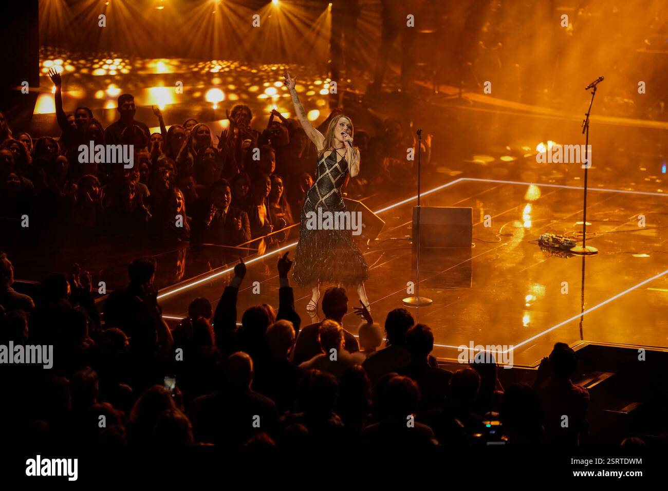 New York, USA. 14th Feb, 2025. SNL50: THE HOMECOMING CONCERT ...