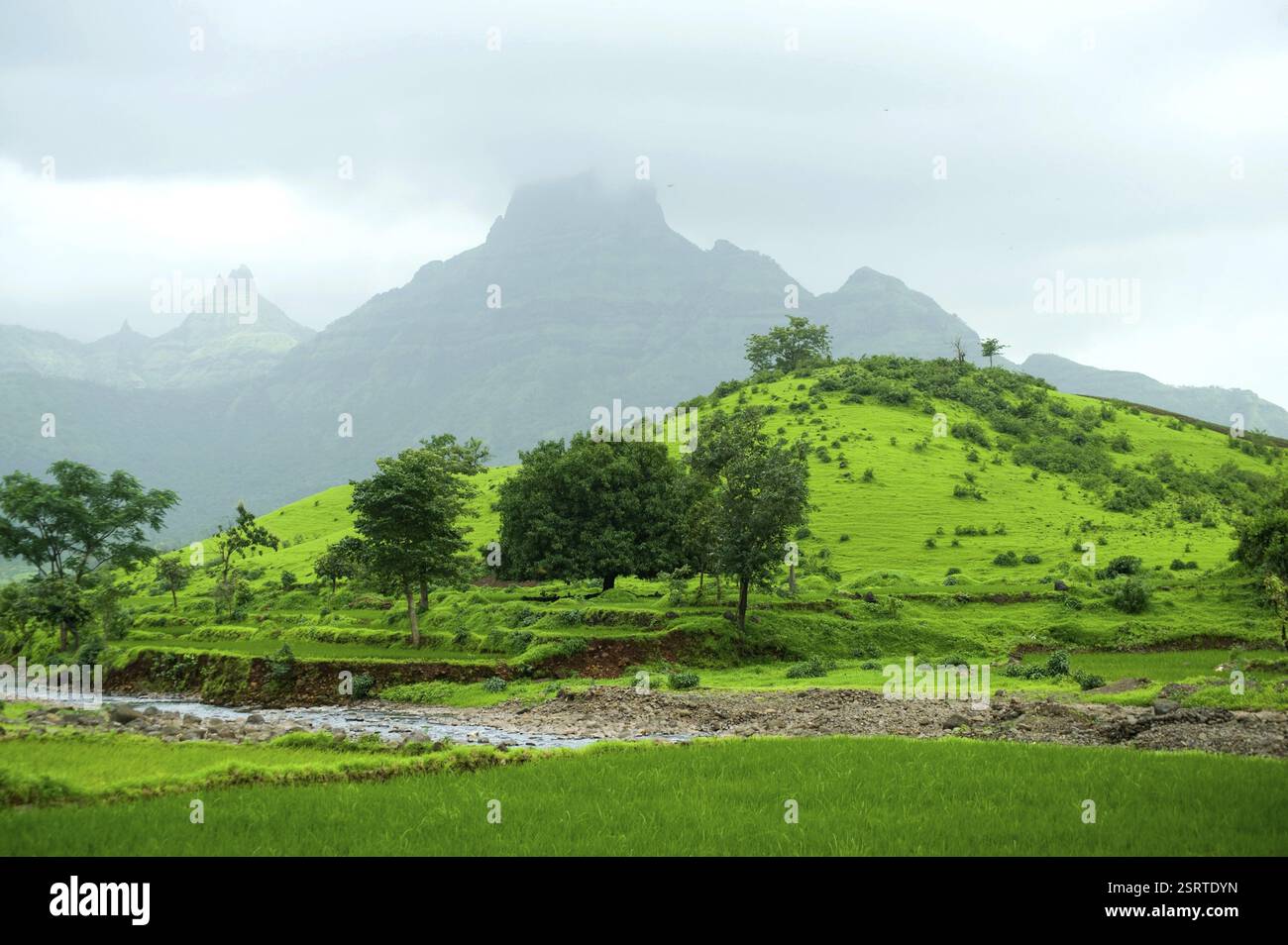 Landscape in monsoon and mountain chanderi at Panvel, district Raigadh ...