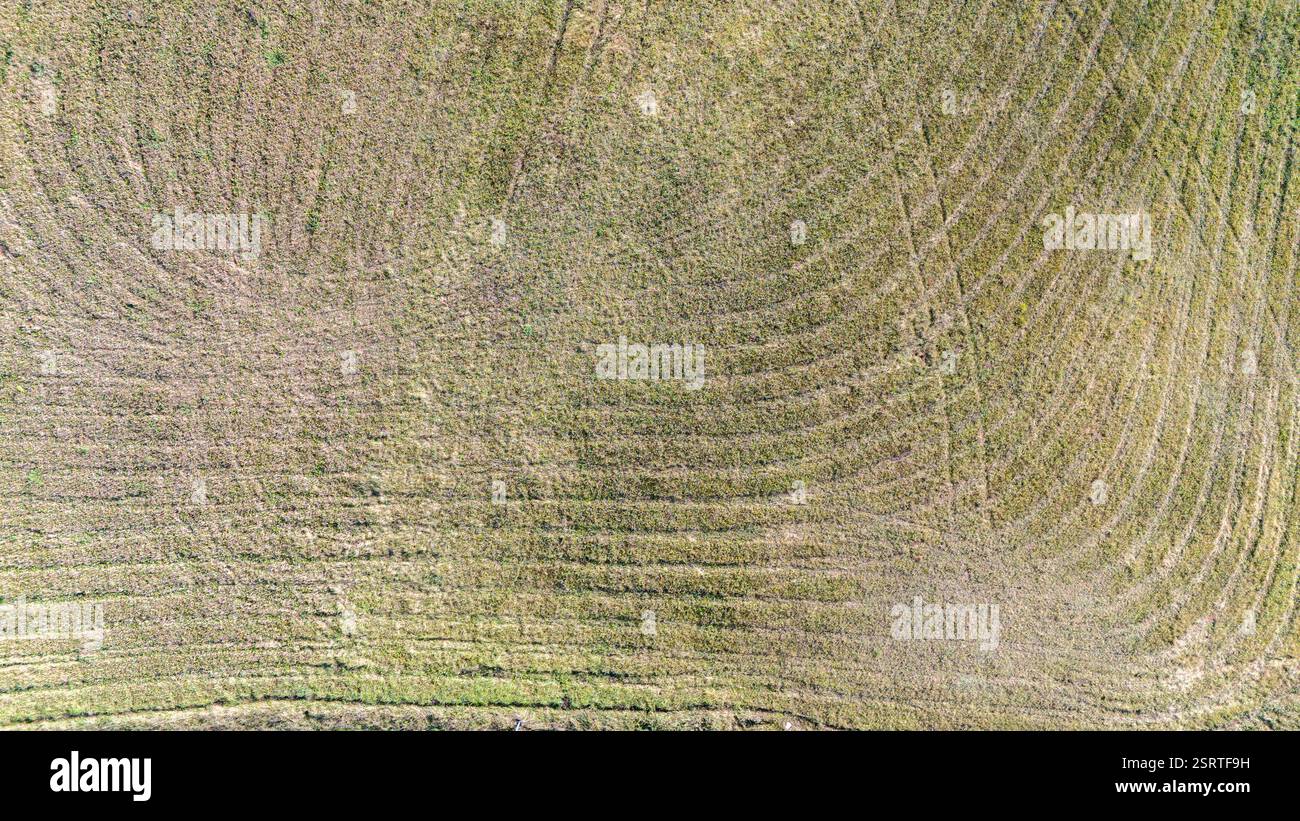Aerial view of a grassy field with visible mowing patterns creating ...