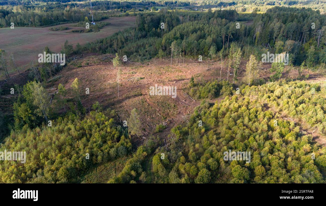 Aerial view of a deforested area surrounded by dense forest, showing ...
