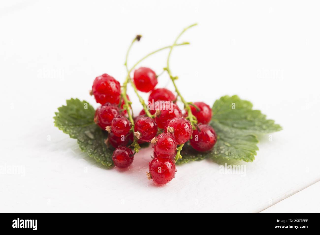 Close up sections tree Cut Out Stock Images & Pictures - Alamy