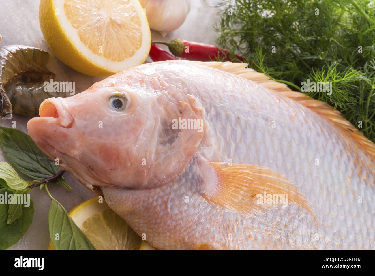 Freshness reddens the Nile Tilapia fish (Oreochromis niloticus Stock ...