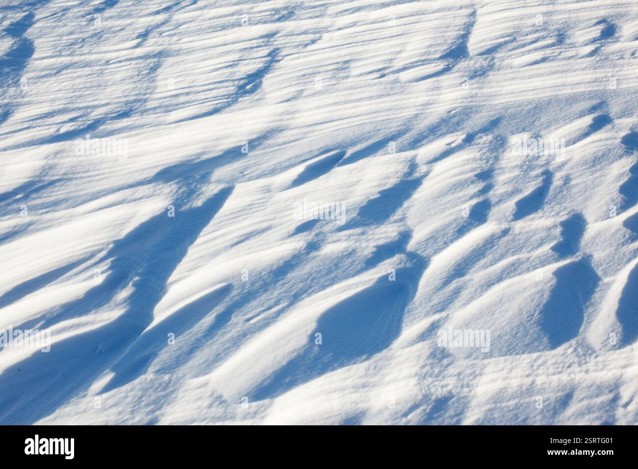 Wind blowing snow hi-res stock photography and images - Alamy