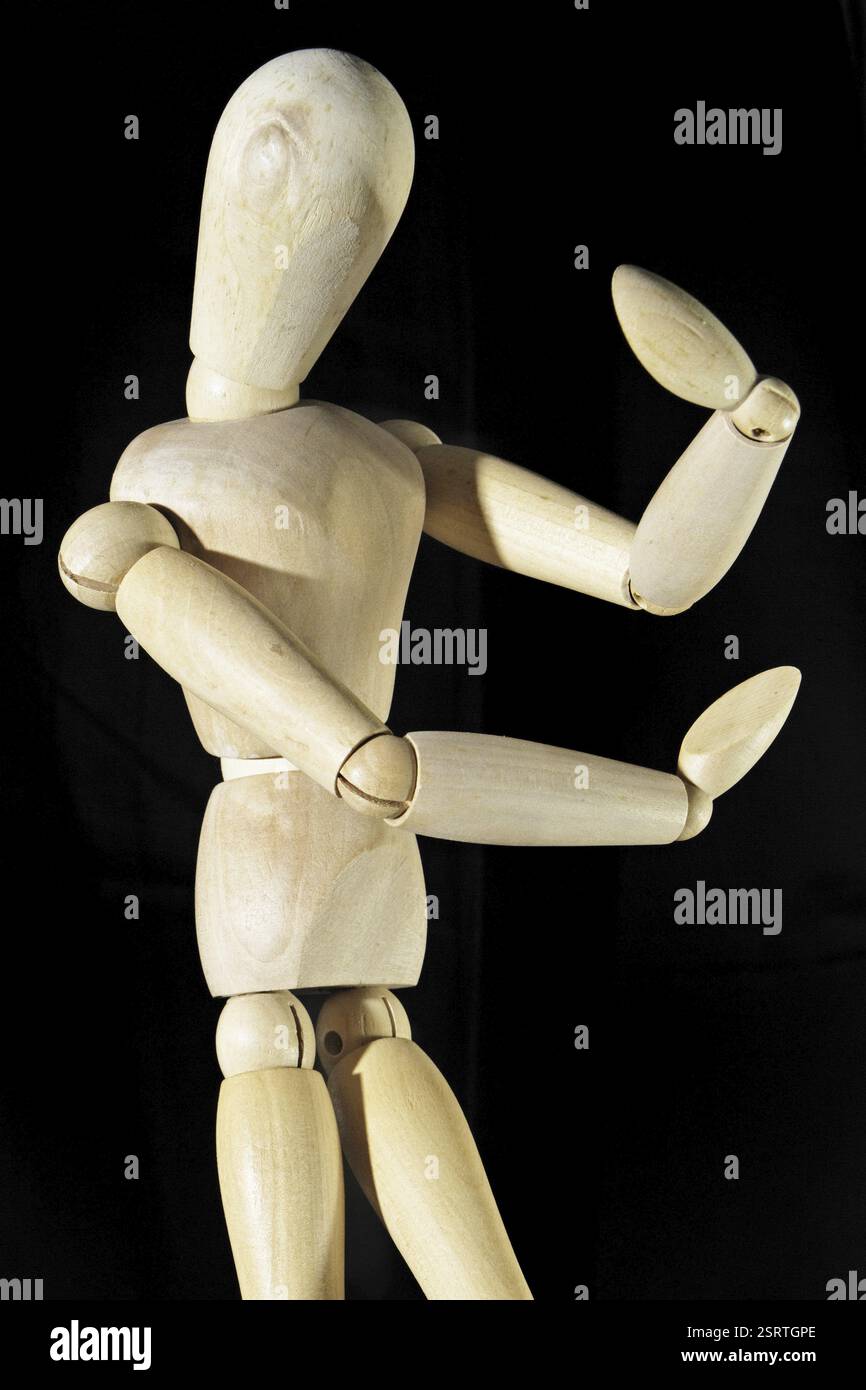 Wooden anatomy models of man, india, asia Stock Photo - Alamy