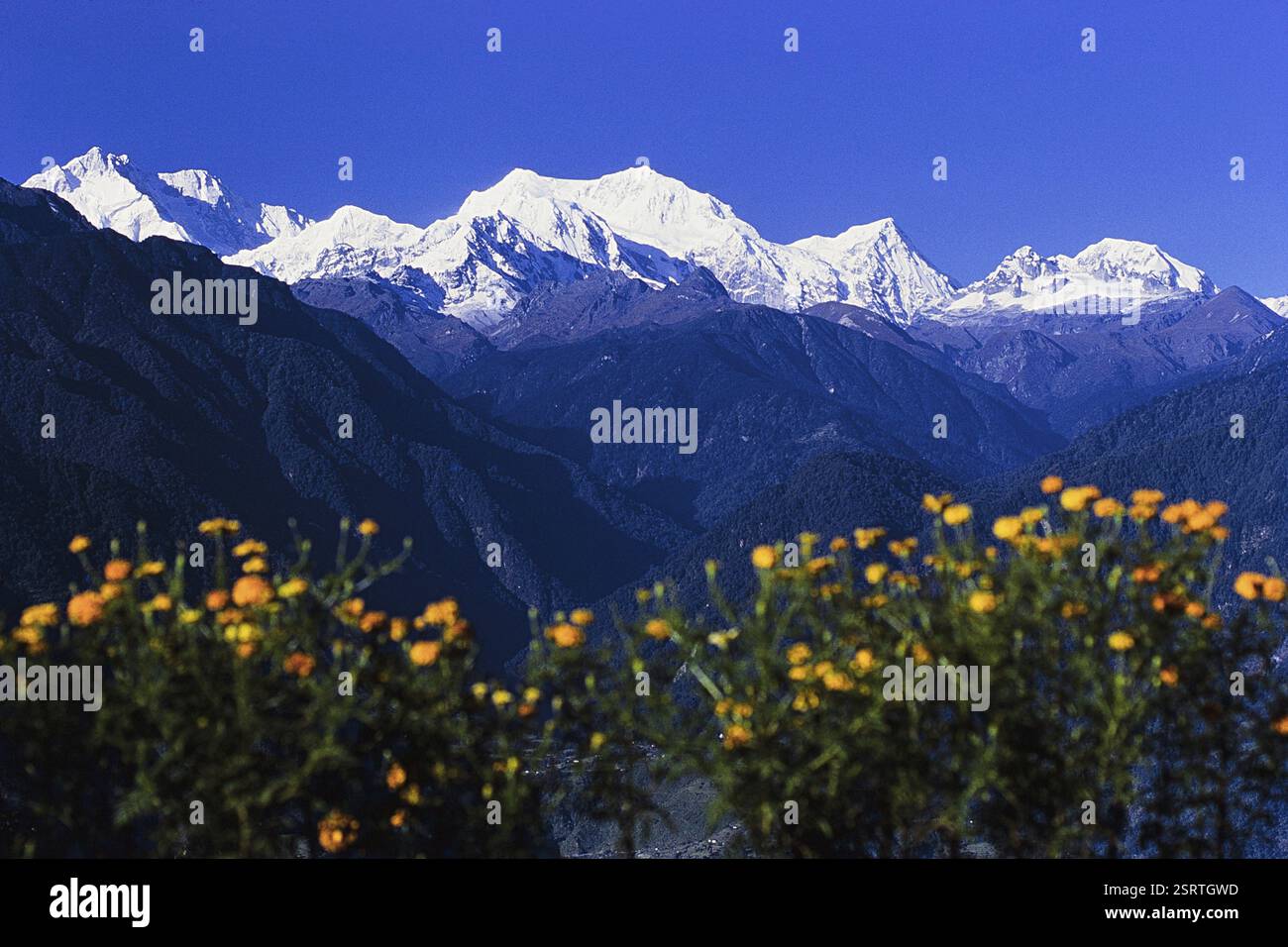 Sikkim mountain range hi-res stock photography and images - Alamy