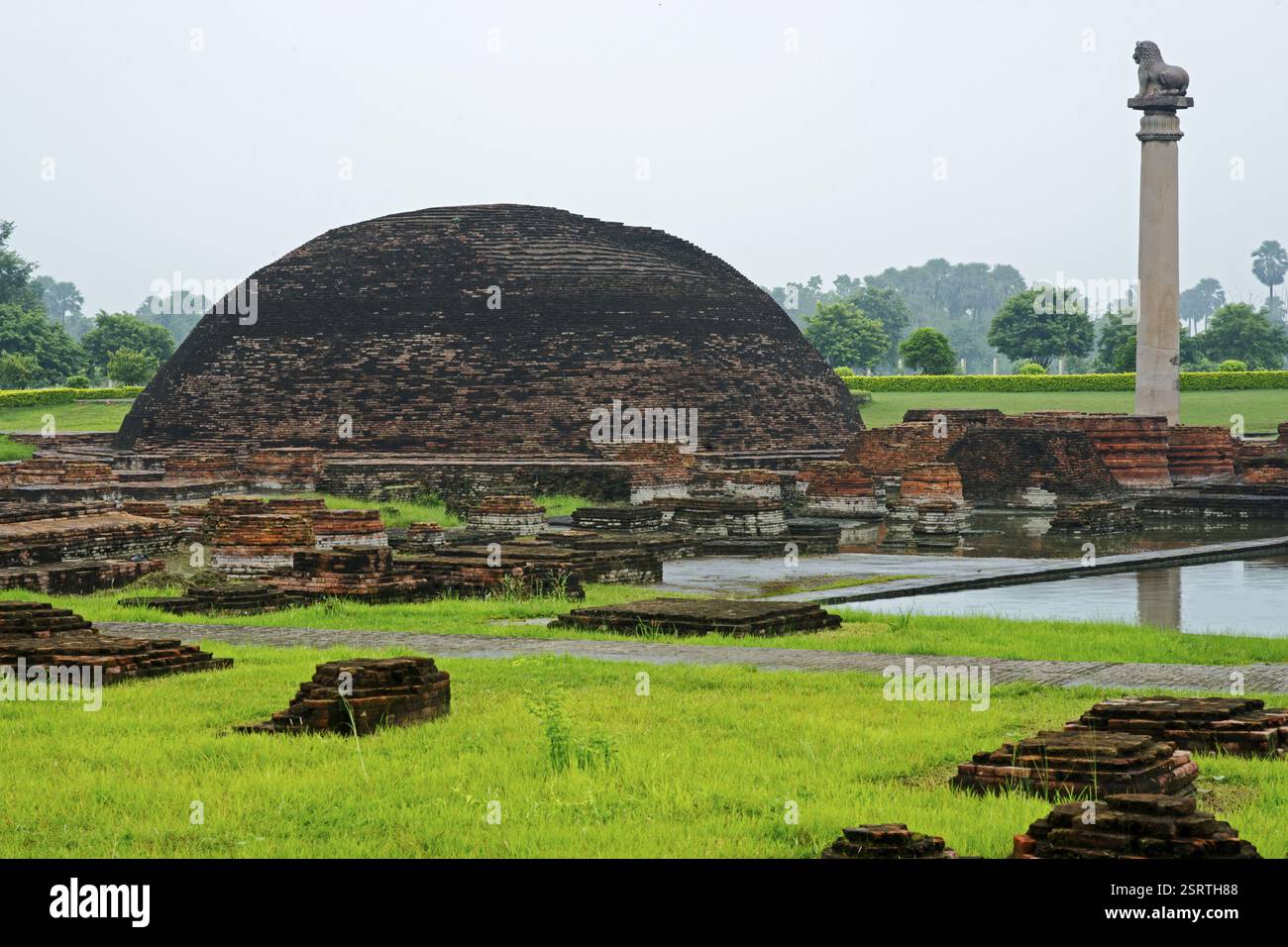 Ashoka pillar, Kolhua, Vaishali, Bihar, India, Asia Stock Photo - Alamy Ashoka pillar, Kolhua, Vaishali, Bihar, India, Asia Stock Photo - Alamy